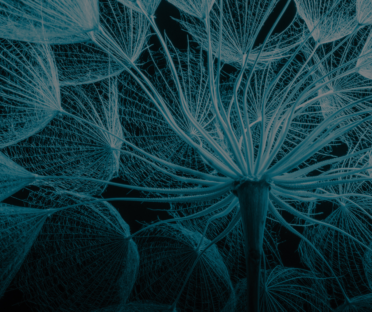 Pacific Equity Partners Fund VII Raise Closes at A$3.2 Billion Hard Cap